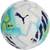 Puma Premier League Orbita Match Lights Ball FIFA Pro Winter Edition 2 ...